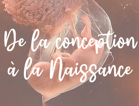 De la CONCEPTION à la NAISSANCE – Marine Beausoleil – Kinésiologue ...